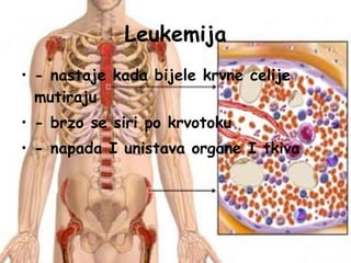 circulation | PPT