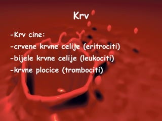 circulation | PPT