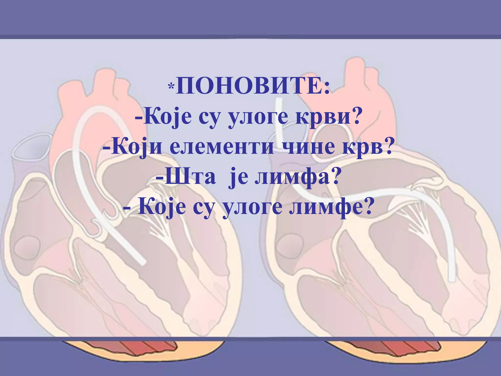 Cirkulatorni sistem srce, krvi sudovi, limfni sudovi | PPT