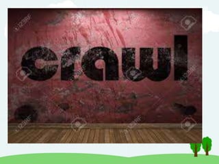 Animals Ciro ·3 B | PPT