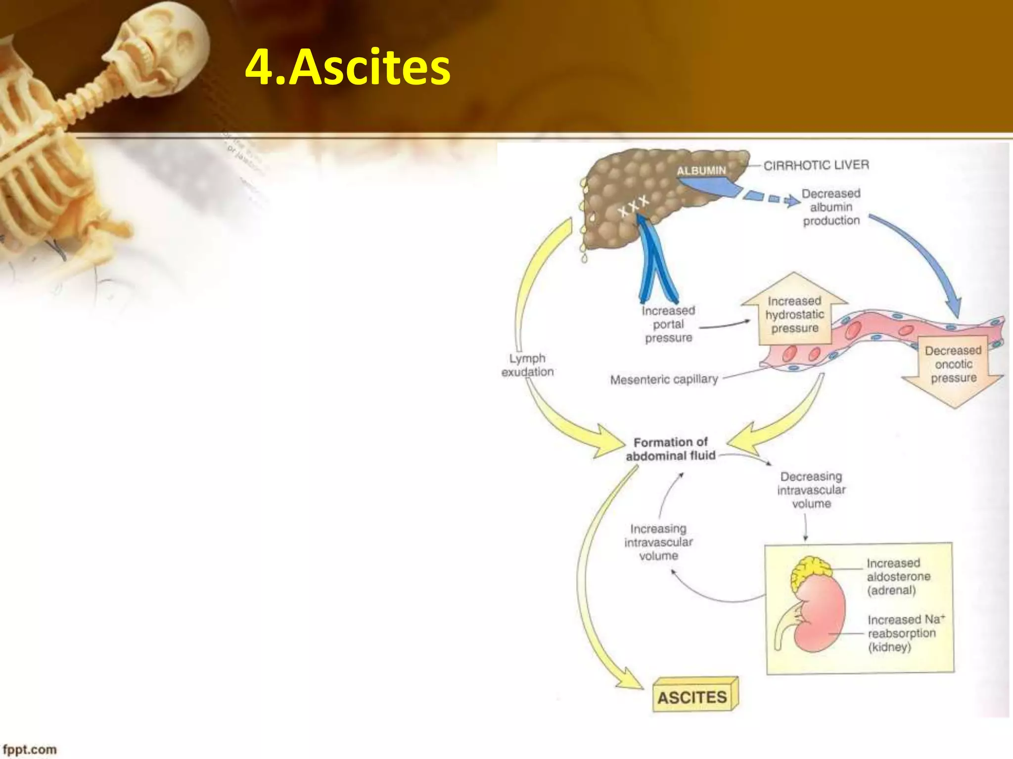 Cirrhosis | PPTX | Digestive Disorders | Diseases and Conditions