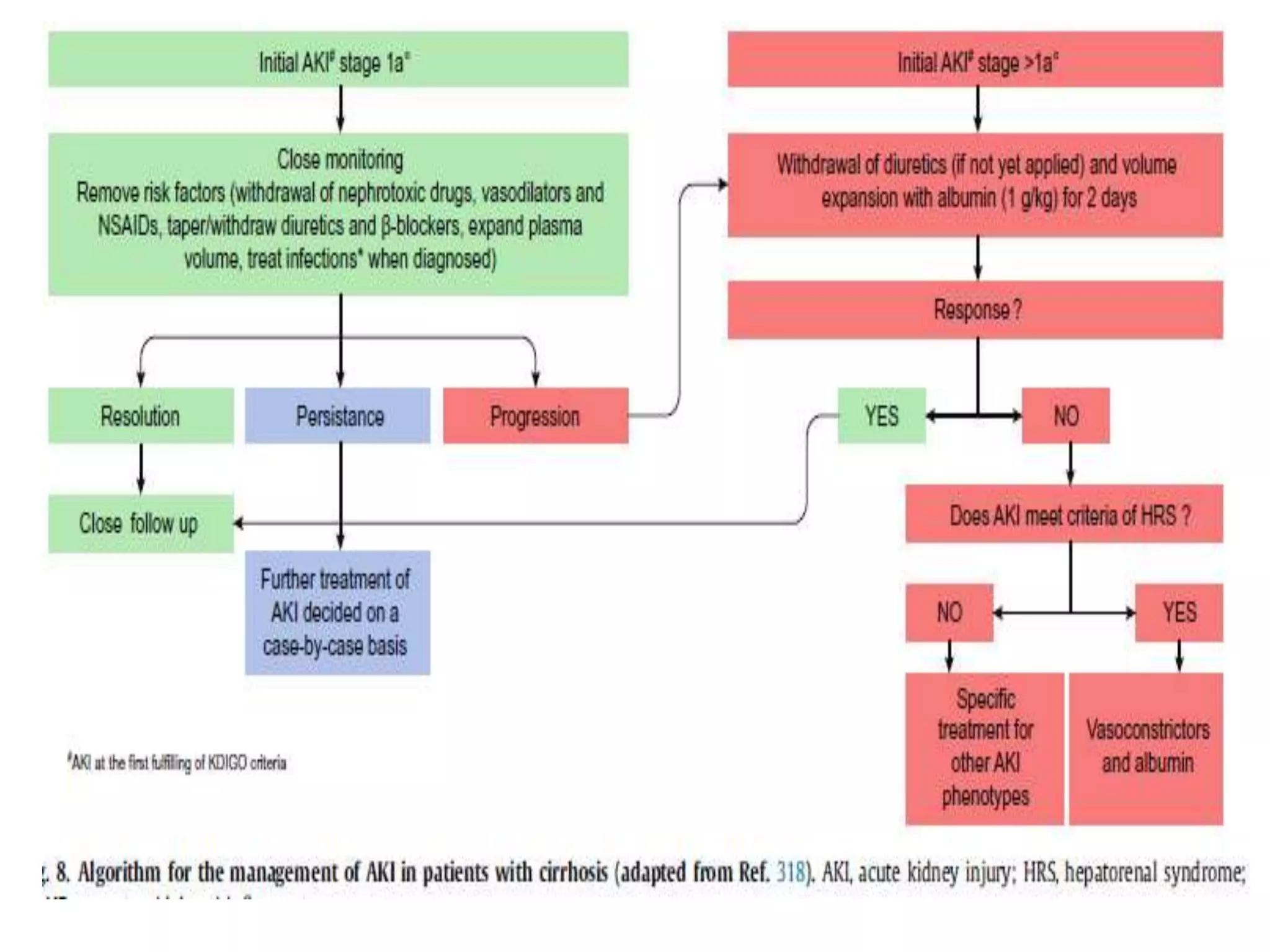 EASL Clinical Practice Guidelines for the management of patients with ...