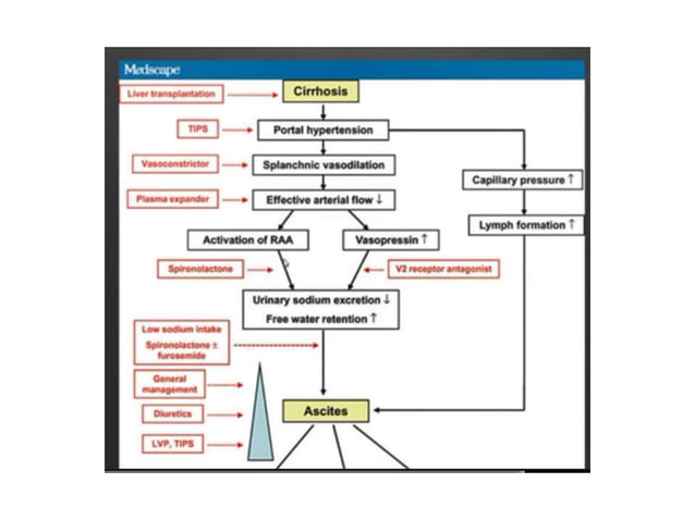 EASL Clinical Practice Guidelines for the management of patients with ...