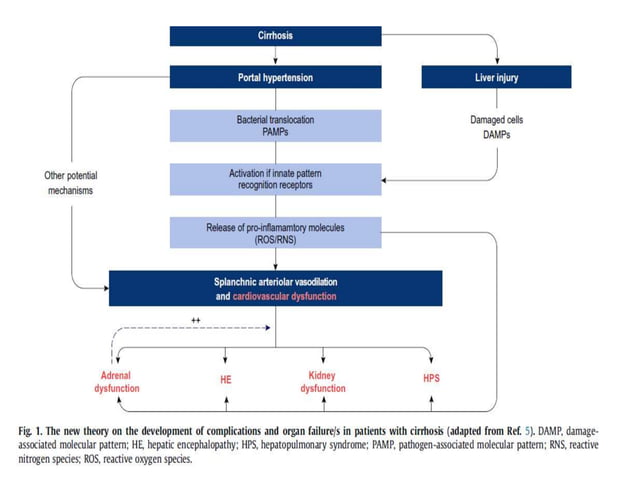 EASL Clinical Practice Guidelines for the management of patients with ...