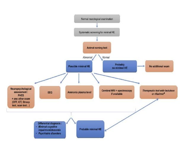 EASL Clinical Practice Guidelines for the management of patients with ...
