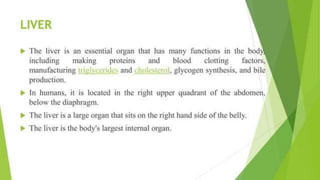 cirrhosis of liver.pptx