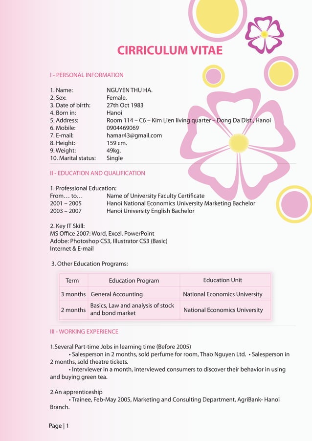 Cirriculum vitae | PDF