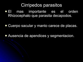 Cirripedos | PPT