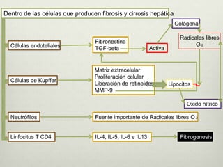 Cirrosis | PPTX