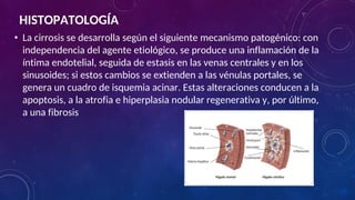 cirrosis hepatica y ascitis fisiopatologia | PDF