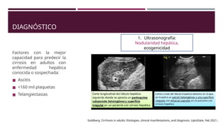 Cirrosis hepática Y sus fisiopatologia y tratamiento. | PPTX