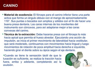 Ciru 1 peri 4 tecnicas de extraccion del maxilar superiore inferior | PPT
