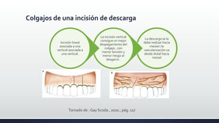 Cirugía oral - INCISION Y COLGAJO | PPTX