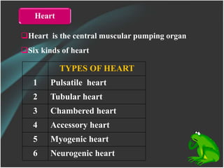 Circulatory system of human | PPTX