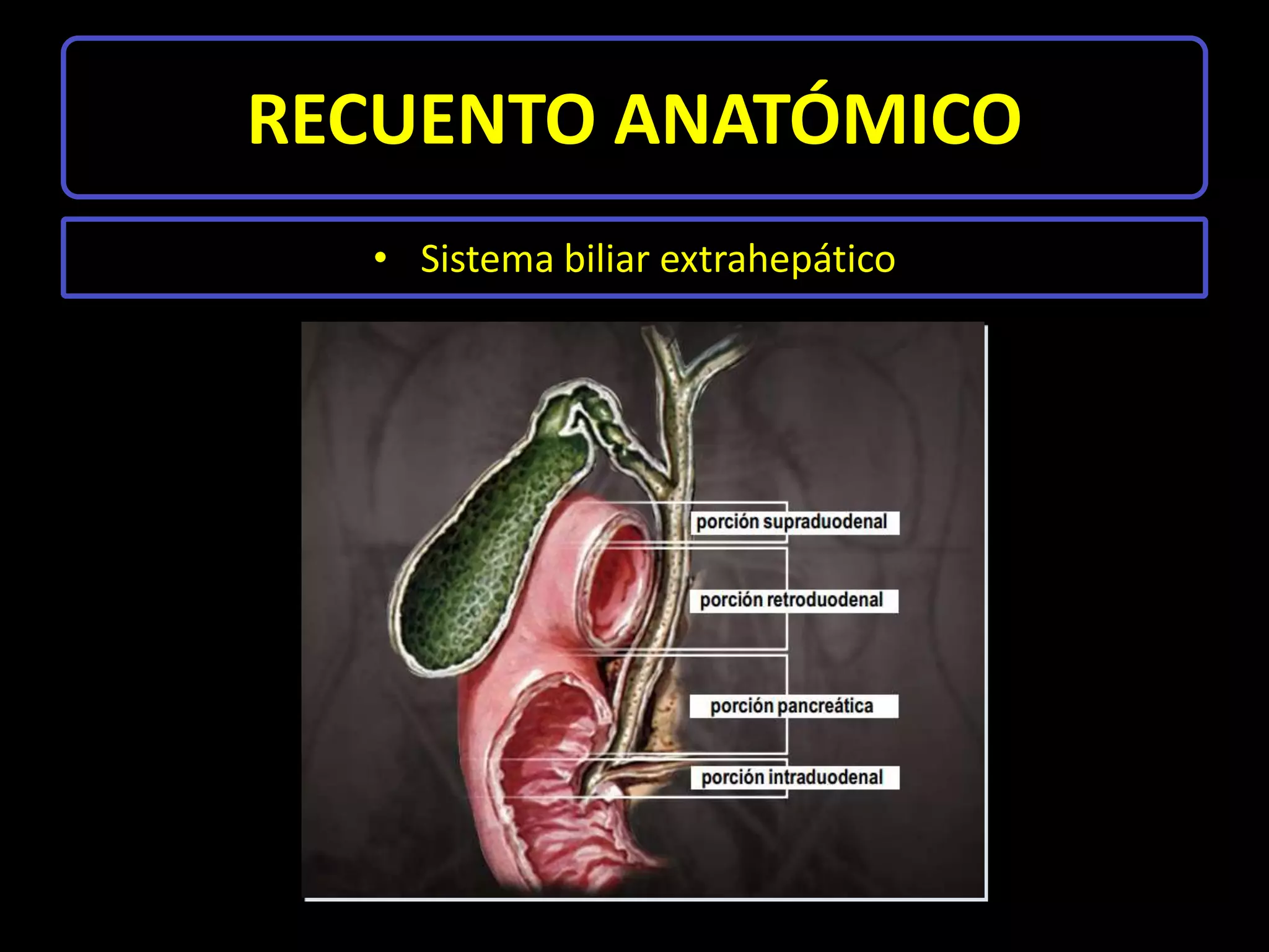 Cirugía coledocolitiasis y estenosis del esfinter de oddi. derivación ...