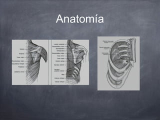 INCISIONES EN EL TORAX | PPT