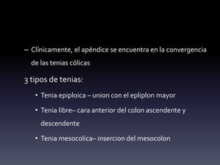cirugia colon y recto | PPT