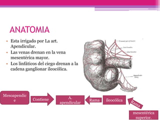 apendicitis | PPTX