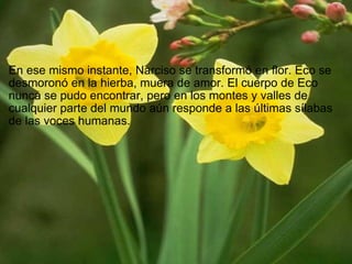 El mito de Narciso | PPT
