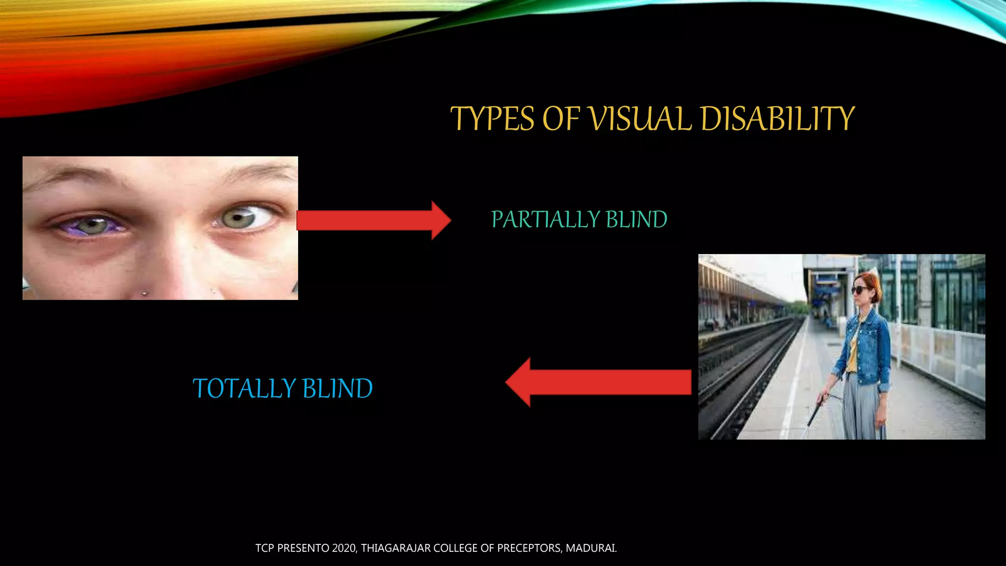 UNDERSTANDING THE DISABILITY | PPTX