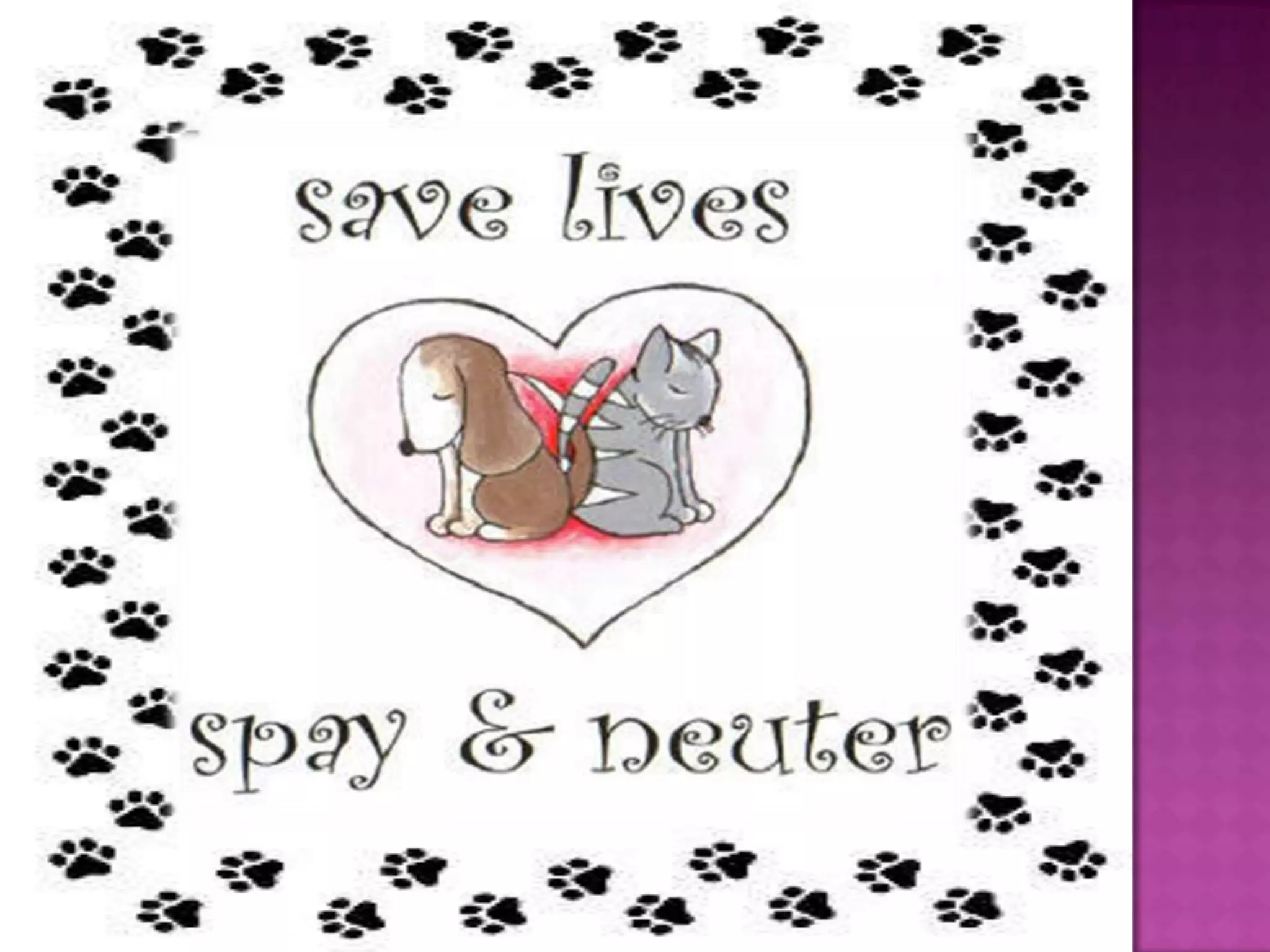 Cis 100 power point cortney wyatt | PPT