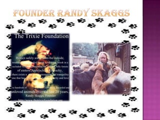 Cis 100 power point cortney wyatt | PPTX