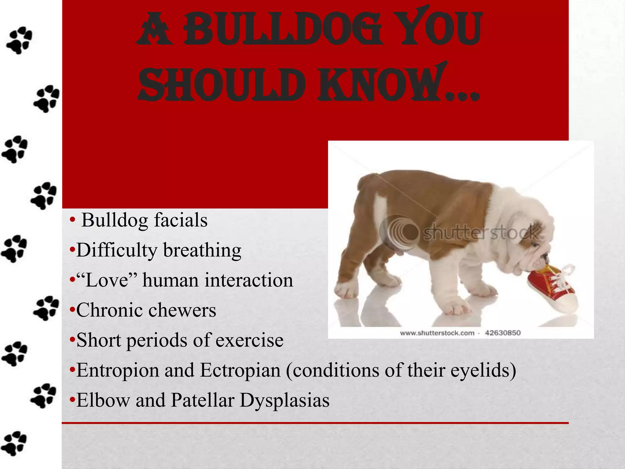 Cis 100 project | PPT