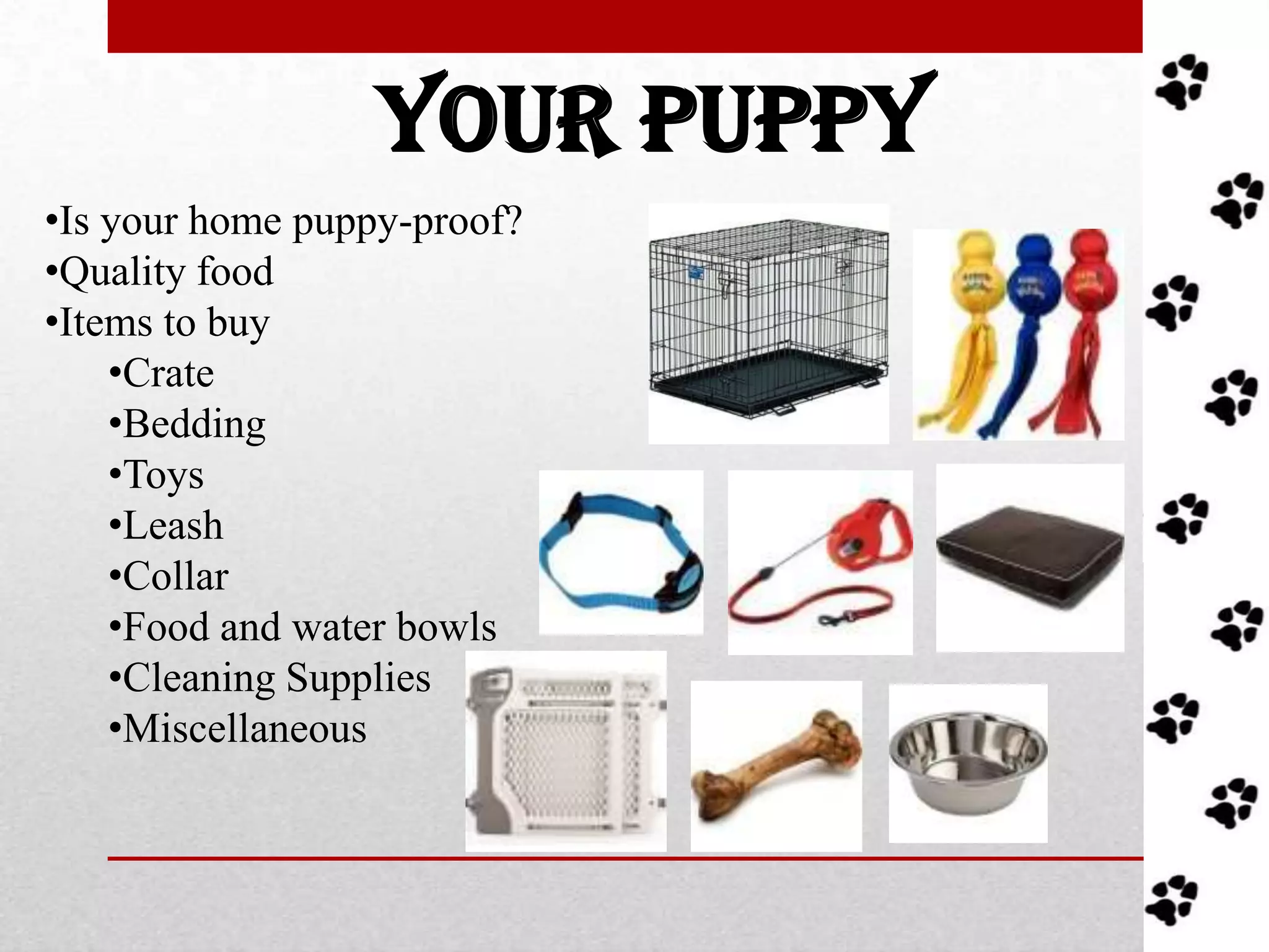 Cis 100 project | PPT