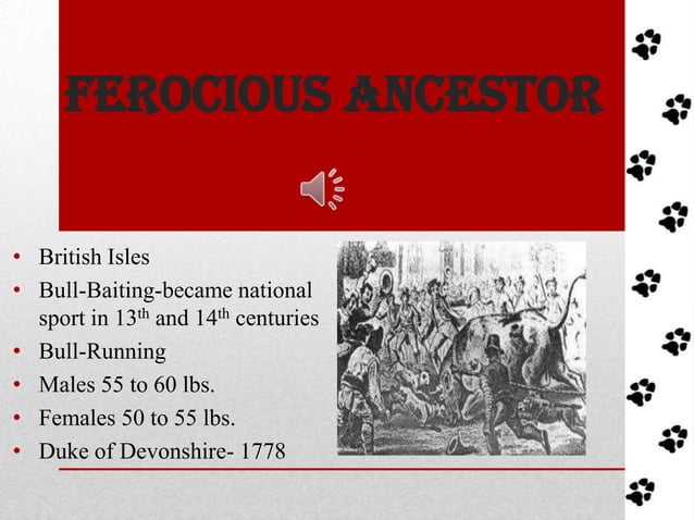 Cis 100 project | PPT