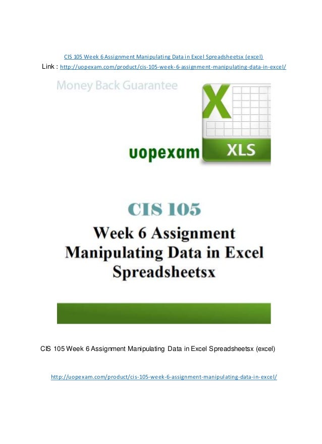 Cis 105 Week 6 Assignment Manipulating Data In Excel Spreadsheetsx E