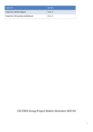 Cis 2903 project -202110 | DOCX