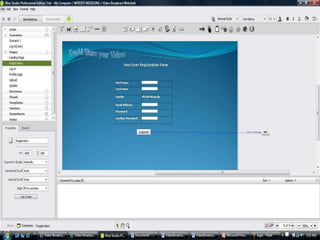 Software Modeling Using irise Software | PPT