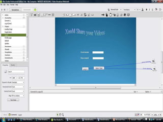 Software Modeling Using irise Software | PPT