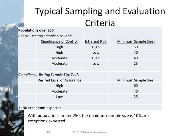 Information Systems Audit & CISA Prep 2010