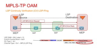 Cisco Packet Transport Network – MPLS-TP | PDF