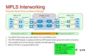 Cisco Packet Transport Network – MPLS-TP | PDF