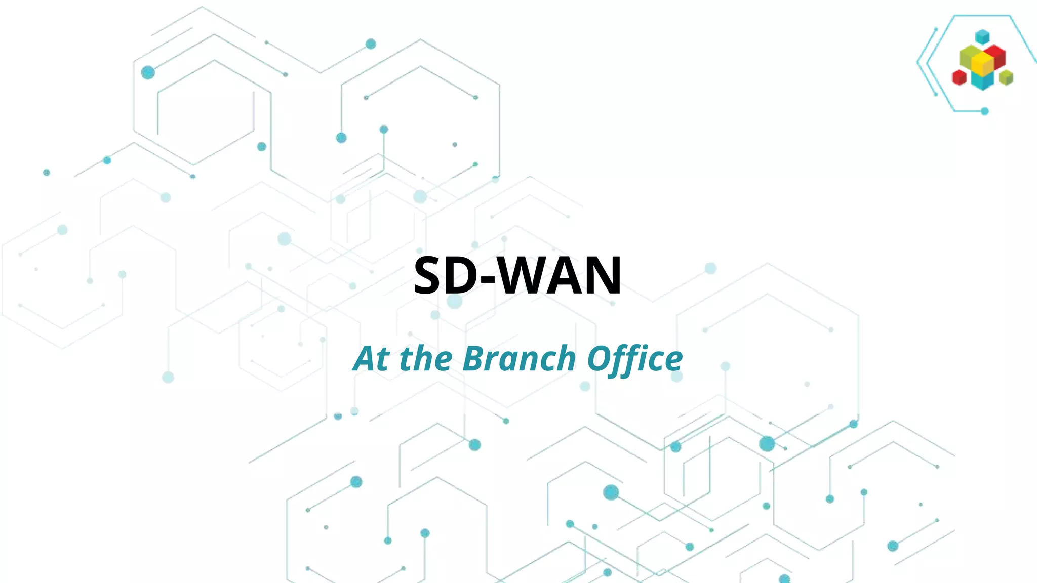 AppNeta: SD-WAN & End User Experience | PPTX