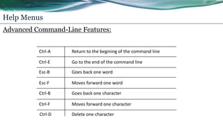 Cisco Router Basic Configuraiton | PPTX
