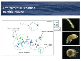 Dover March: Community Information Session | PPT