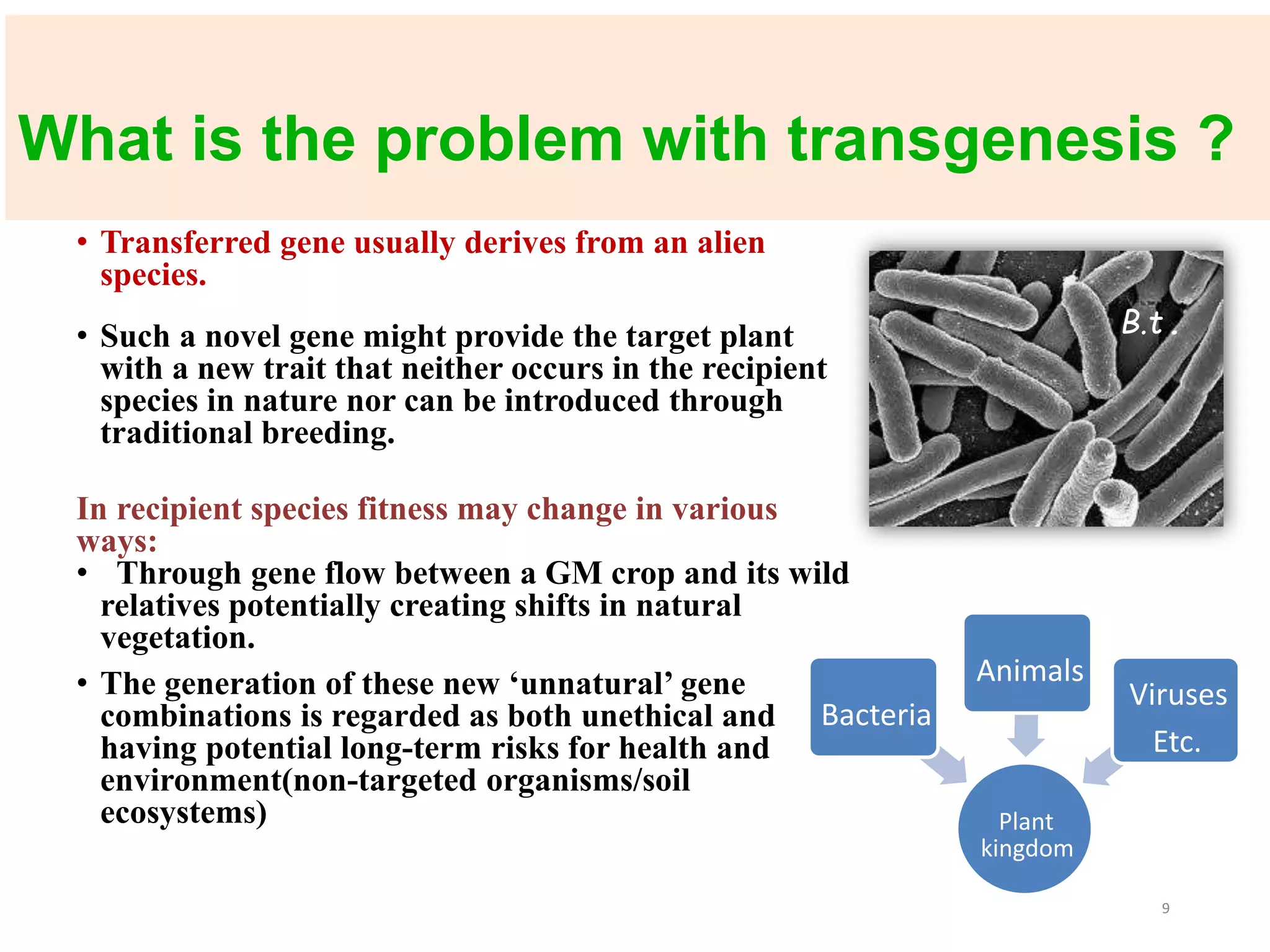 Cisgenesis and its Implications in Crop Improvement- credit seminar | PPTX