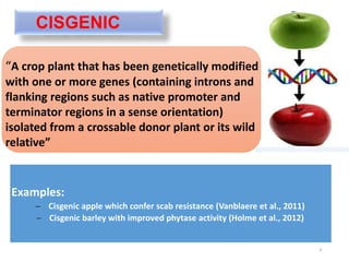 Cisgenesis and its Implications in Crop Improvement- credit seminar | PPTX