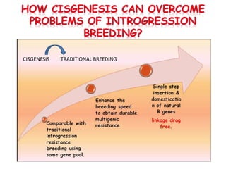 Cisgenics for crop improvement | PPTX