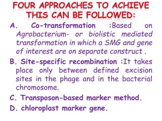 Cisgenics for crop improvement | PPTX