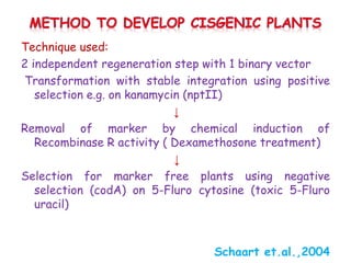 Cisgenics for crop improvement | PPTX