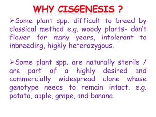 Cisgenics for crop improvement | PPTX