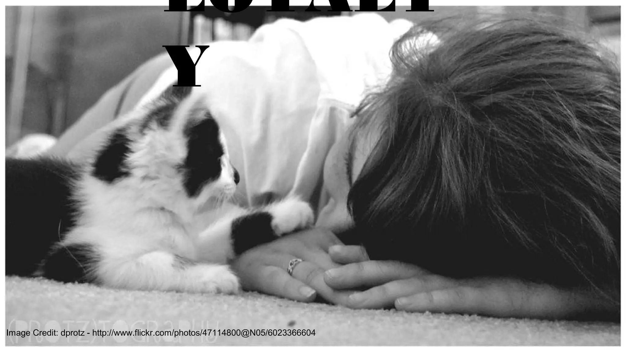 CIS Good Presentation | PPT