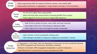 Cish | PPTX | Endocrine and Metabolic Diseases | Diseases and Conditions