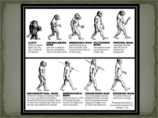 Physical Anthropology | PPT