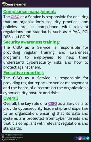 CISO as a service in India | Senselearner | PDF
