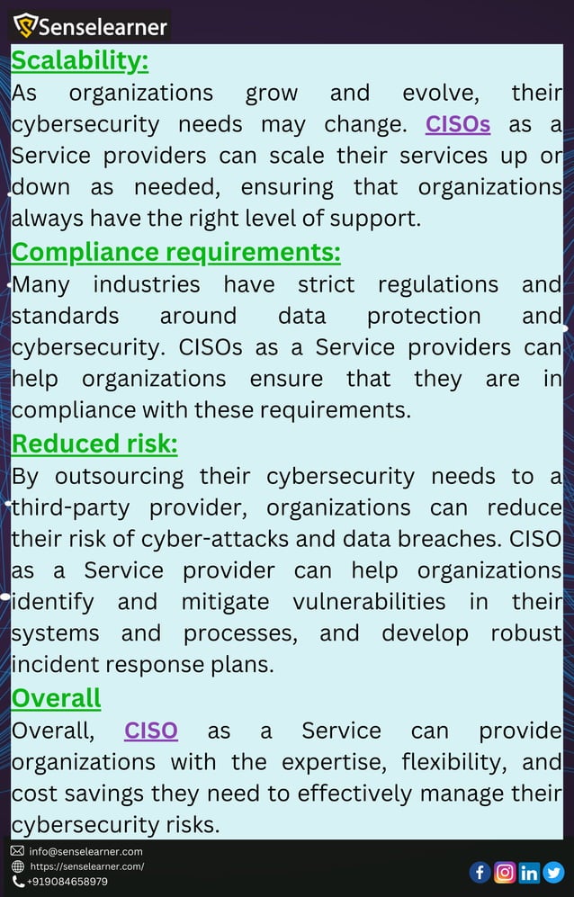 CISO as a service in India | Senselearner | PDF